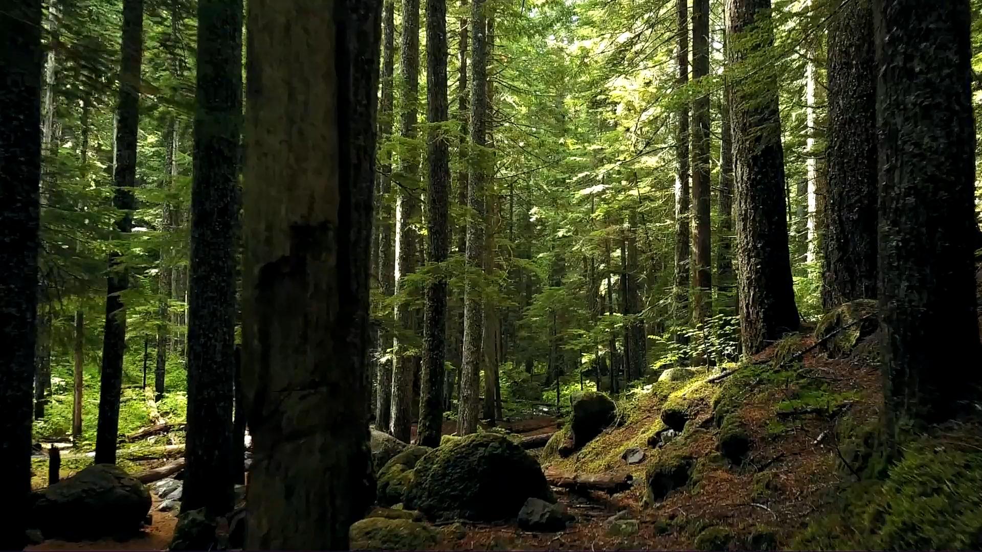 Gocce di Rugiada | Depuratori d’acqua domestica